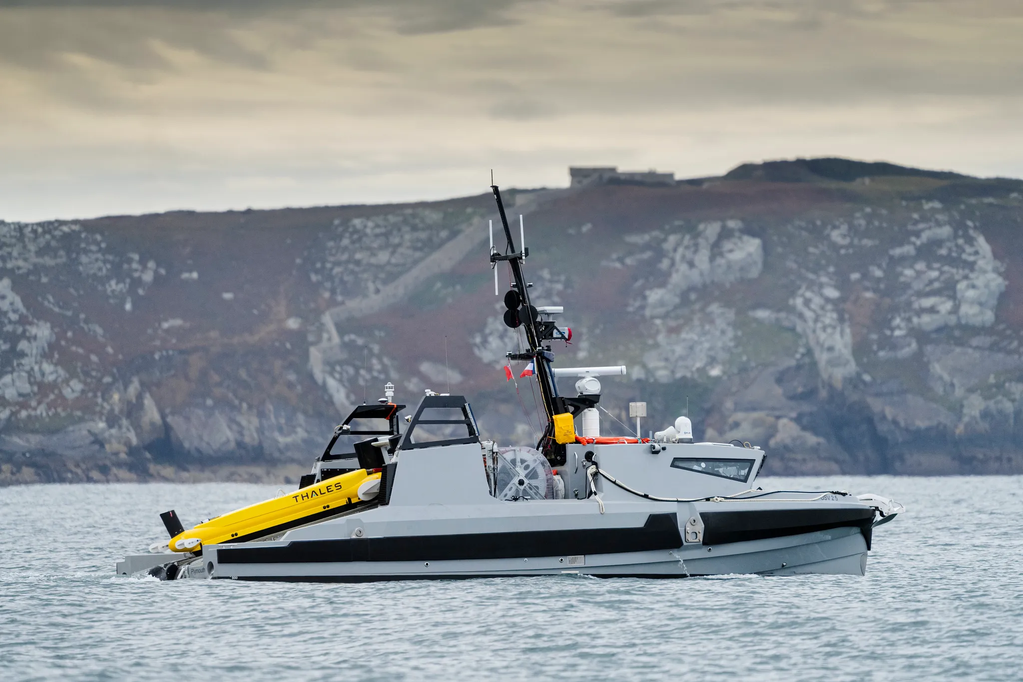 High-performance, scalable mine countermeasures | Thales Group